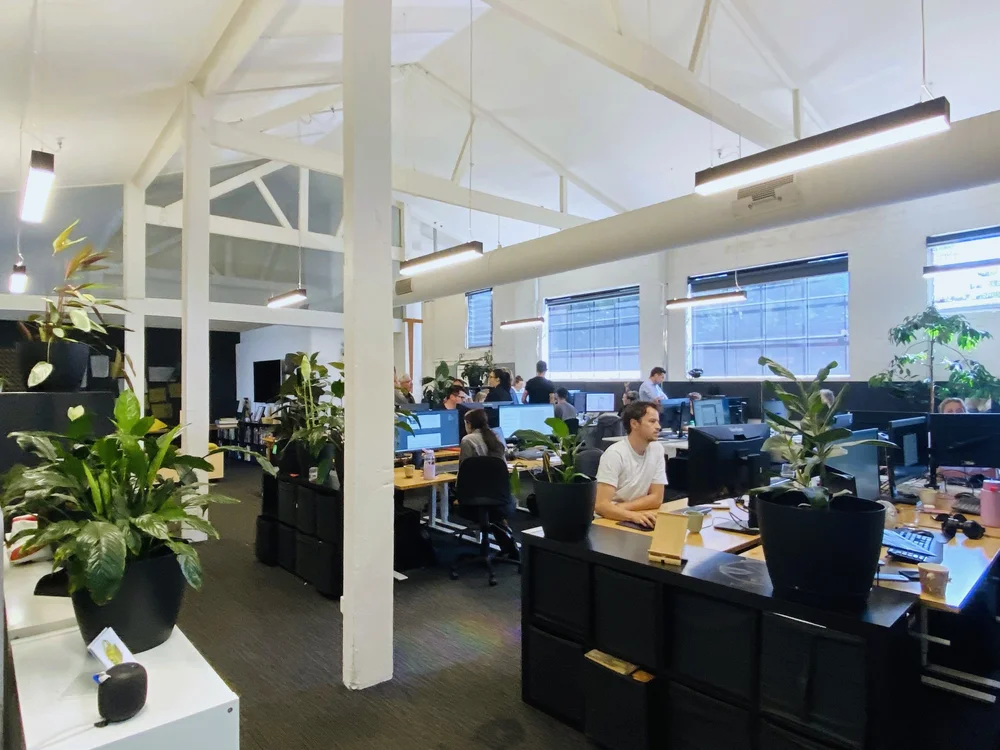 The Studio — Law Architects