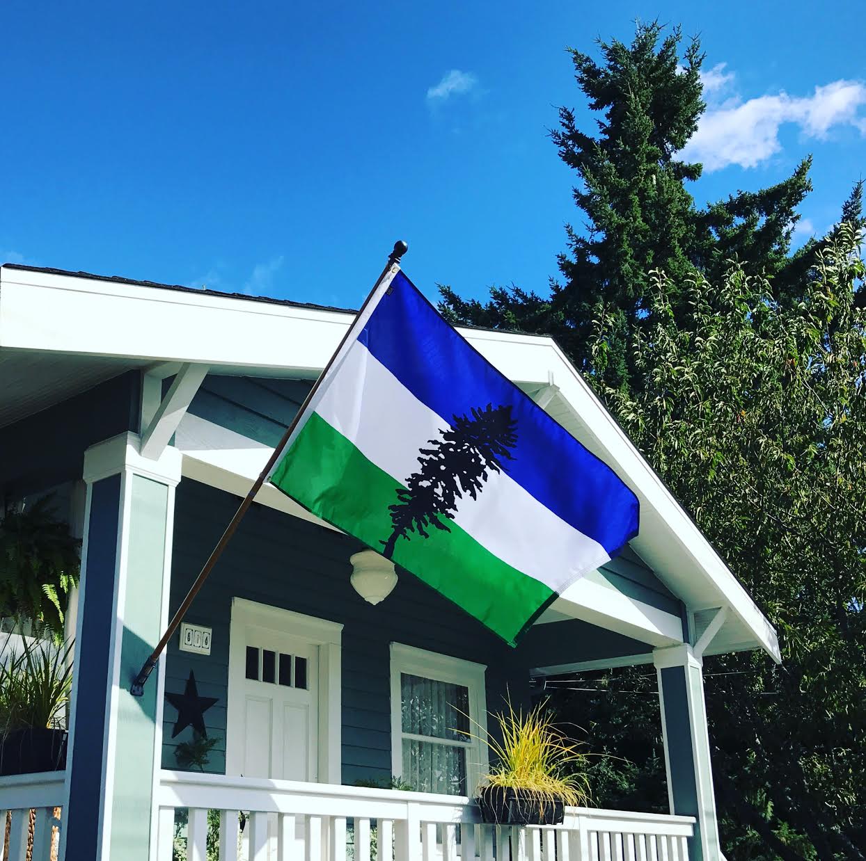 Store — CascadiaNow!