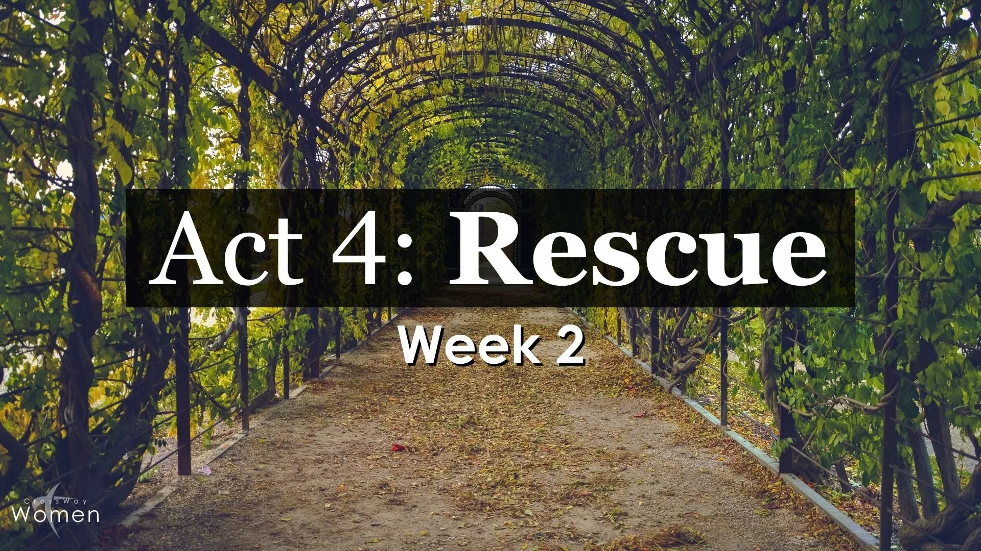 Act Four—Week 2 Summary — CrossWay Fellowship