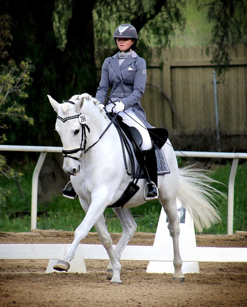 The team — Kim Kulesa Dressage