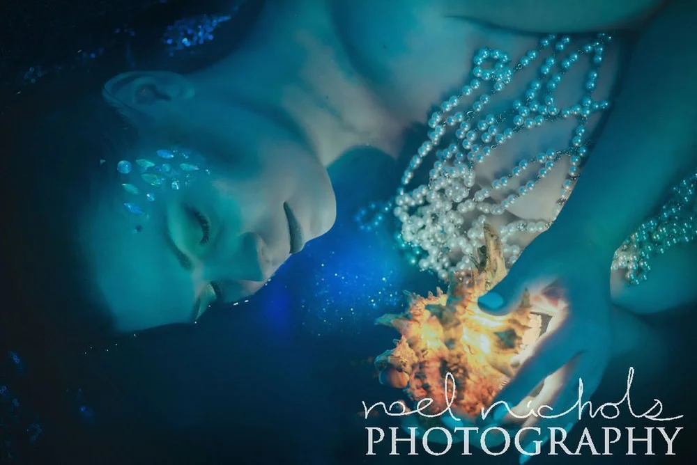 Galleries — noel nichols | photography