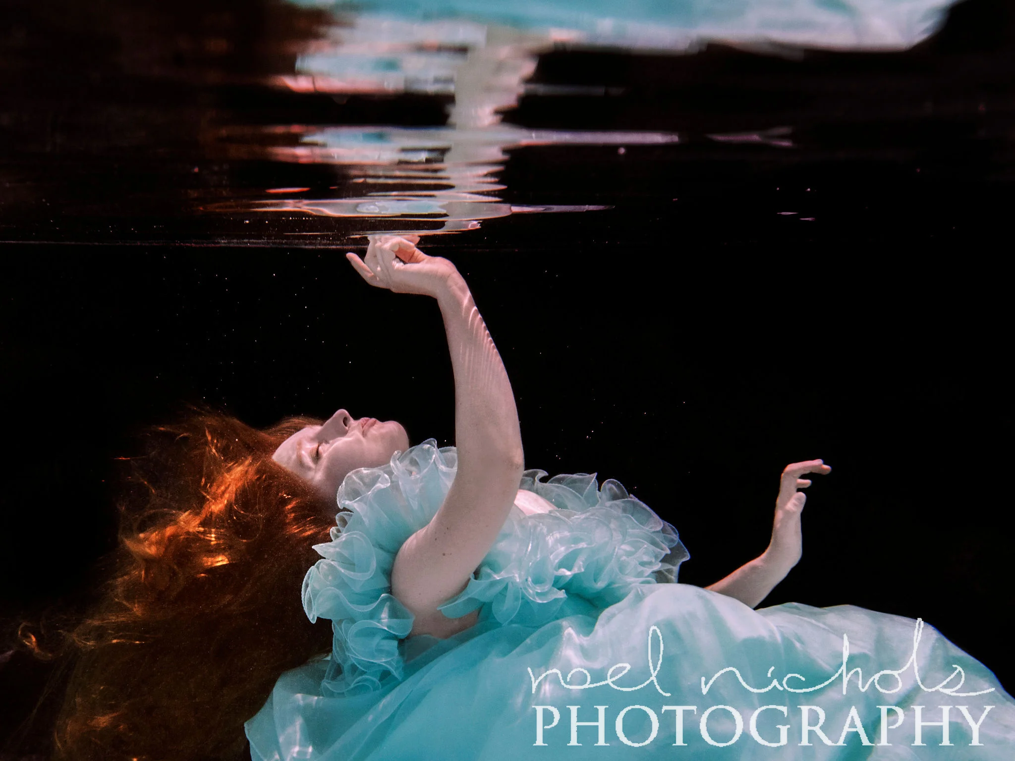 Galleries — noel nichols | photography