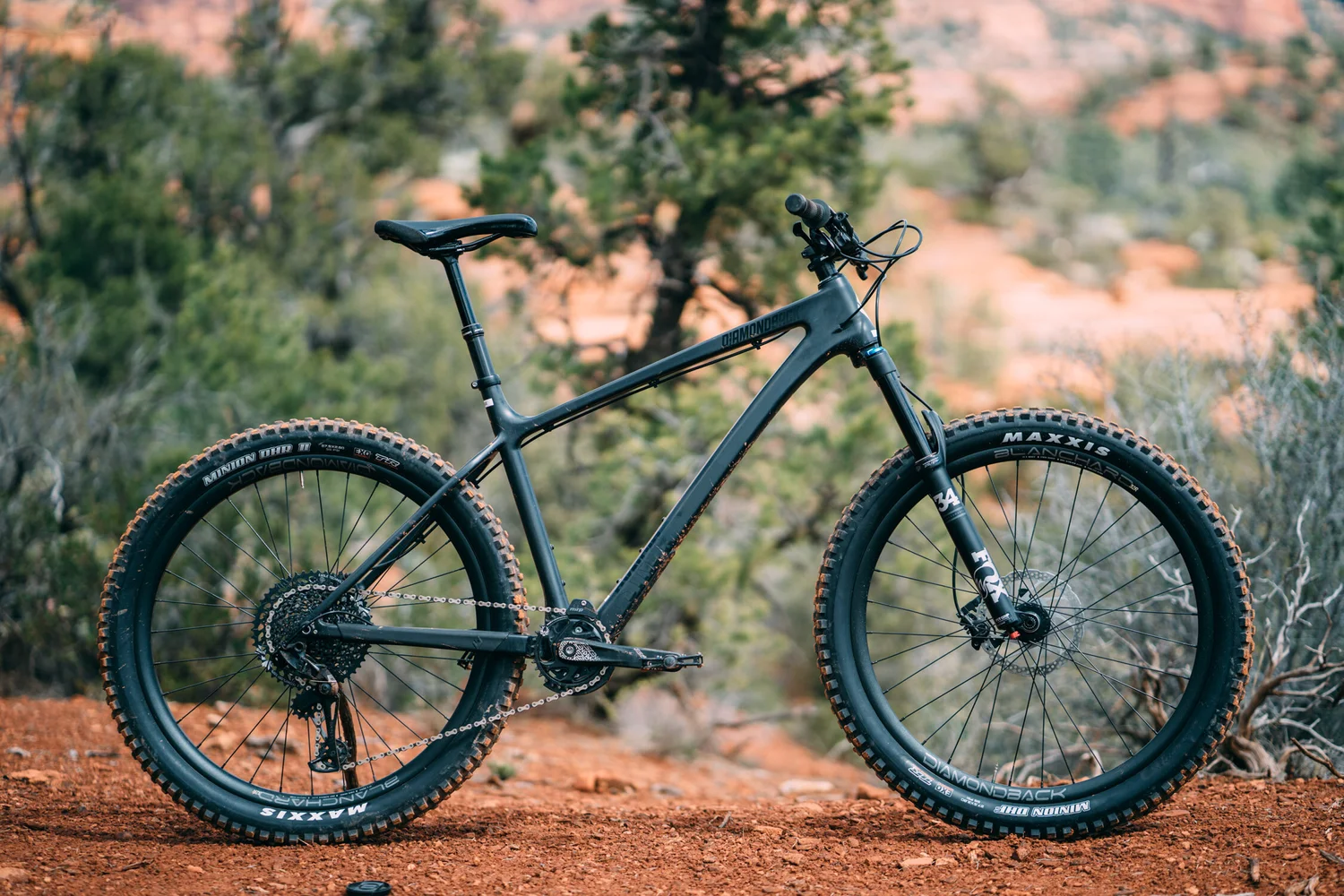 Diamondback in the House! — Ebikes Hawaii