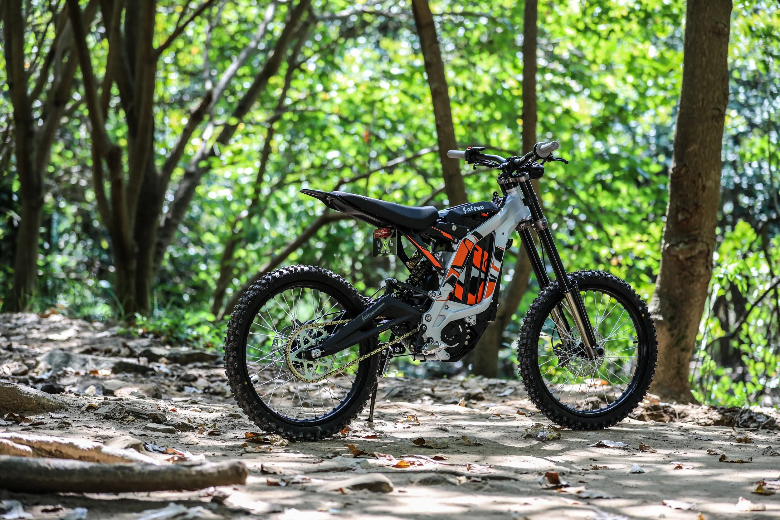 Ebikes Hawaii