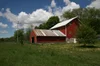 Fat Blossom Farm