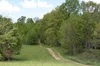 Fat Blossom Farm