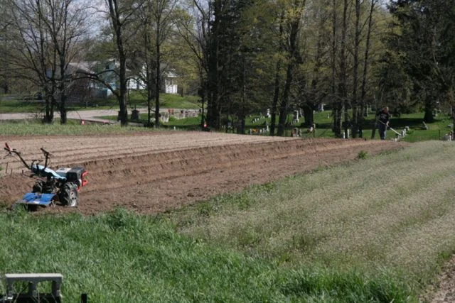 Fat Blossom Farm
