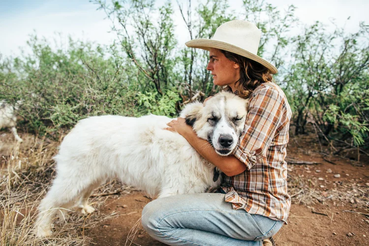 visual storytelling from the farm — Audra Mulkern