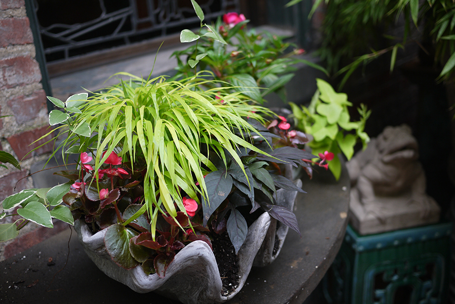 Wilder Gardens and Flowers Floral + Garden | flowers for the ...