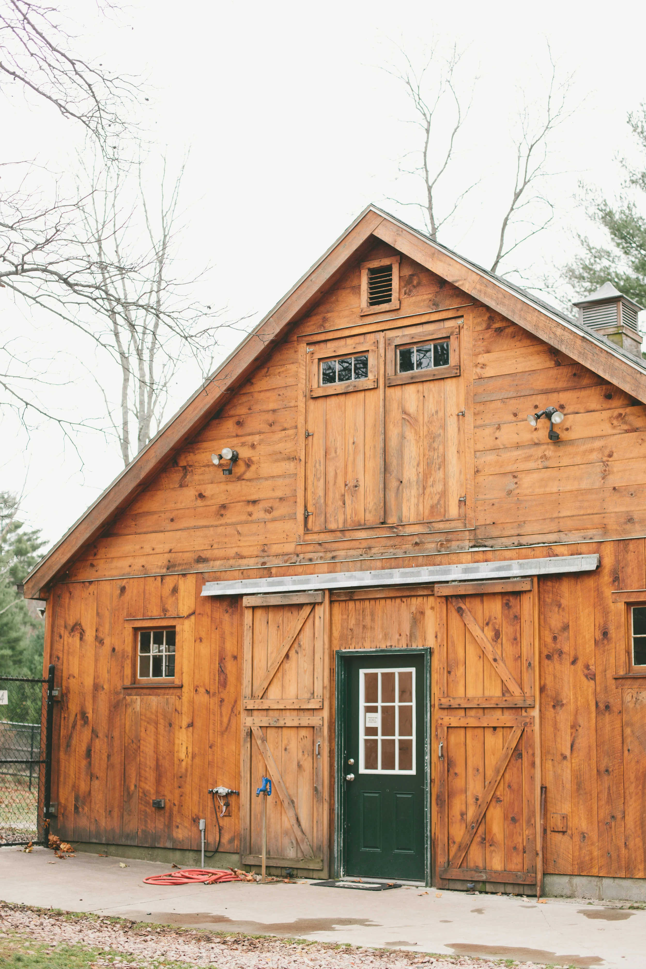 Schultz's Guest House: A Sanctuary For Homeless Dogs — tell New England