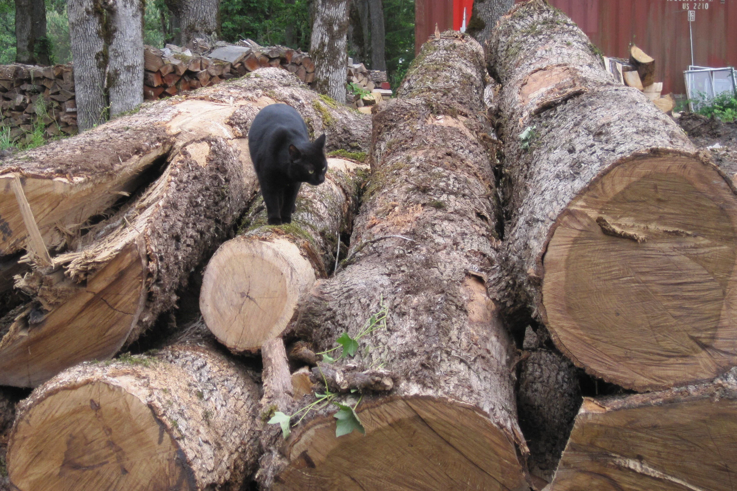 Zena Forest Products | Salem, OR