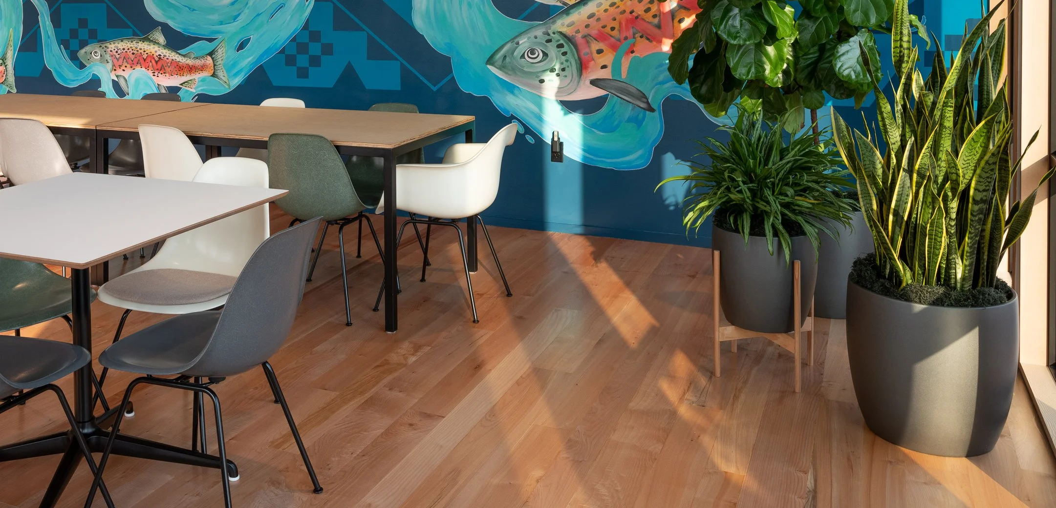 Wide Plank — Zena Forest Products | Salem, OR