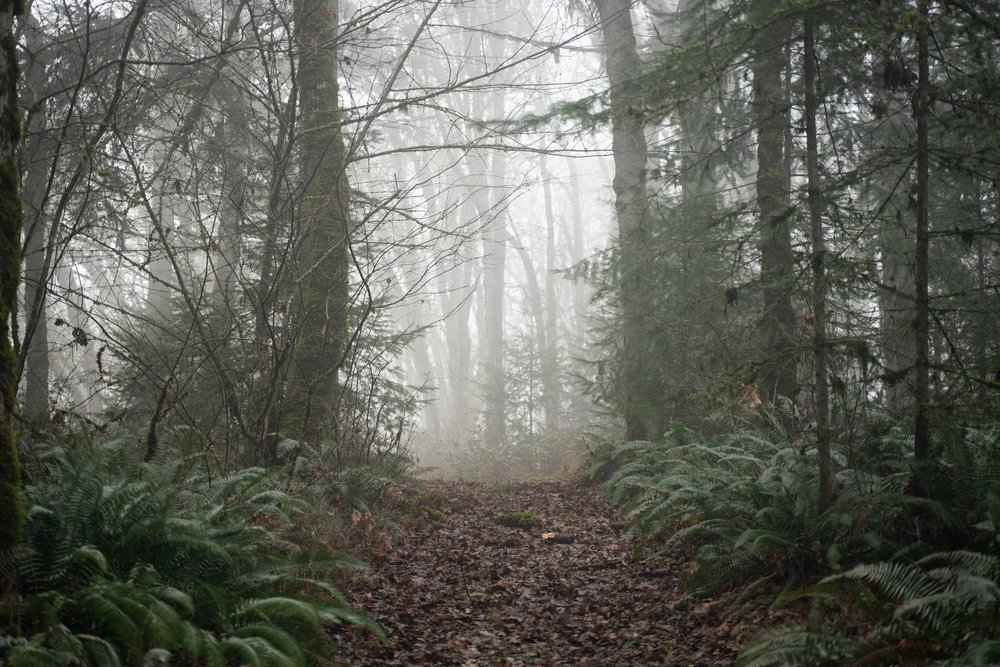 Our Story — Zena Forest Products | Salem, OR