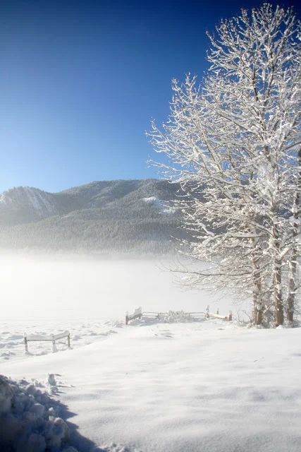 Snowy days — Finding the Extraordinary in the Ordinary