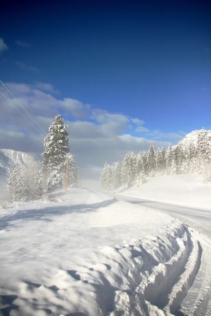 Snowy days — Finding the Extraordinary in the Ordinary