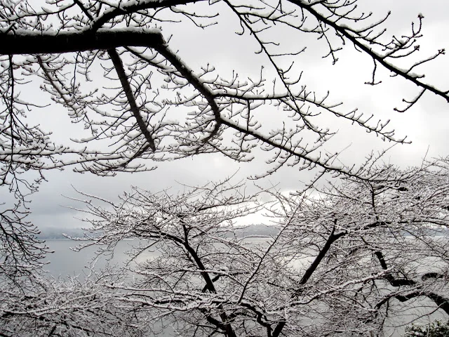 First snowfall — Finding the Extraordinary in the Ordinary