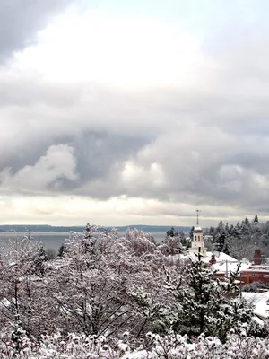 First snowfall — Finding the Extraordinary in the Ordinary