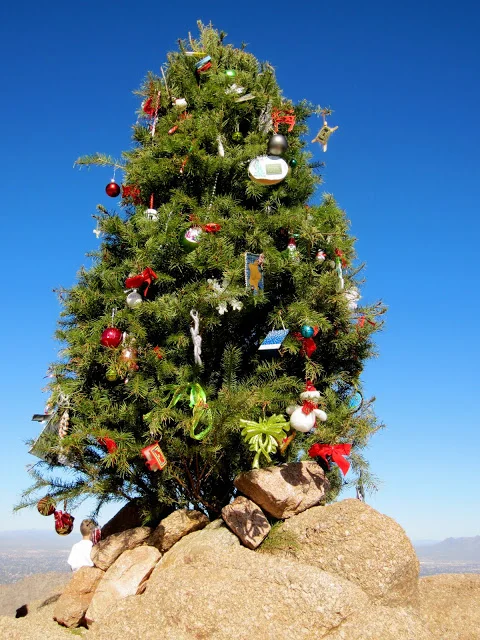 Christmas in Arizona — Finding the Extraordinary in the Ordinary