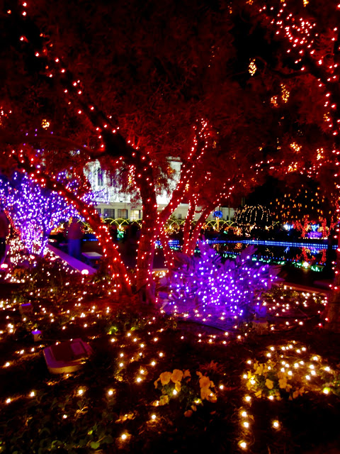 Christmas in Arizona — Finding the Extraordinary in the Ordinary
