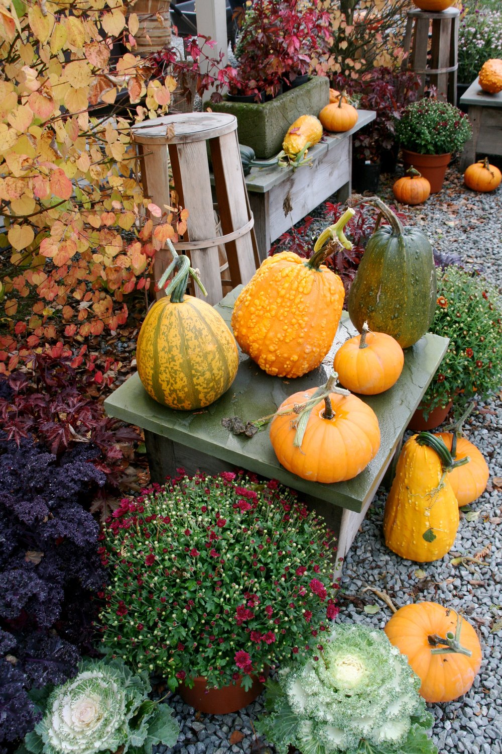 Gordon Skagit Farm in Mount Vernon — Finding the Extraordinary in the ...
