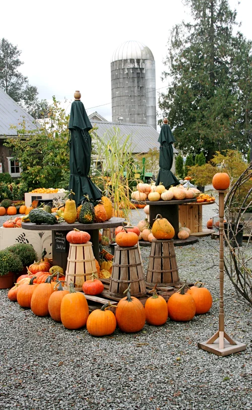 Gordon Skagit Farm in Mount Vernon — Finding the Extraordinary in the ...
