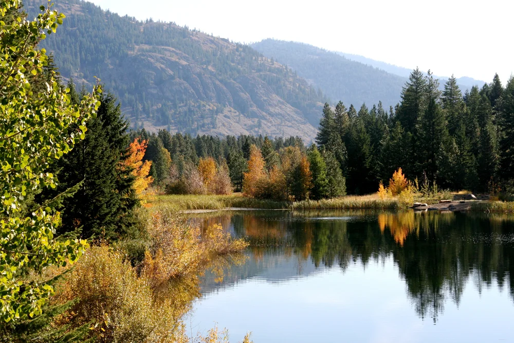 Truly Sanctuary Giveaway + sneak peek of our trip to Mazama — Finding ...