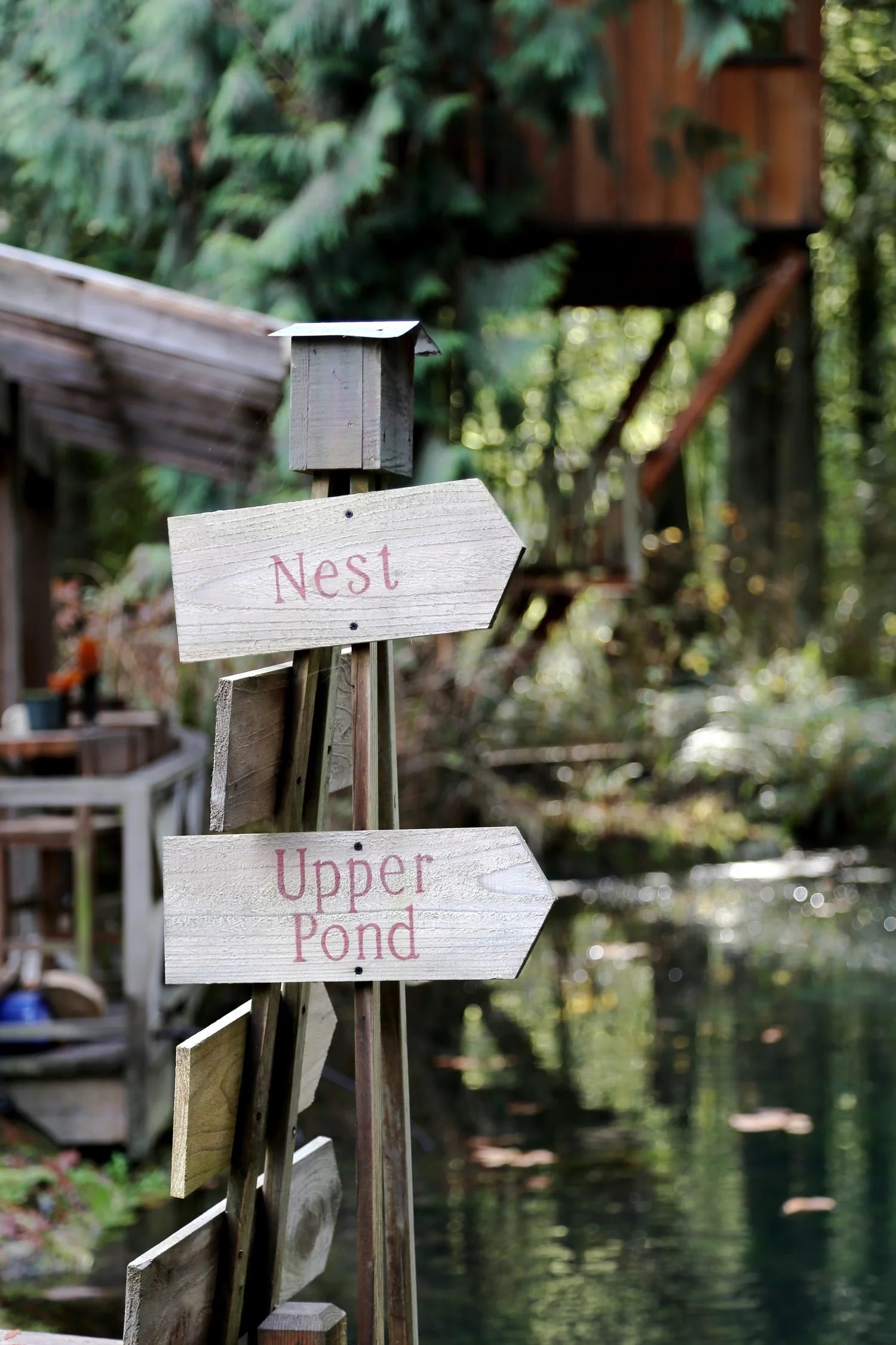 TreeHouse Point — Finding the Extraordinary in the Ordinary