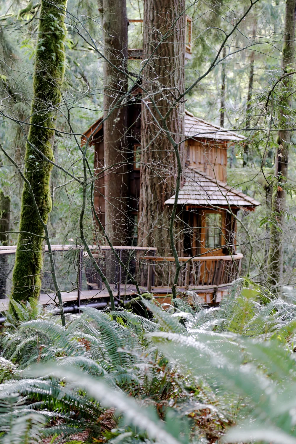 TreeHouse Point — Finding the Extraordinary in the Ordinary