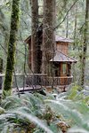 TreeHouse Point — Finding the Extraordinary in the Ordinary