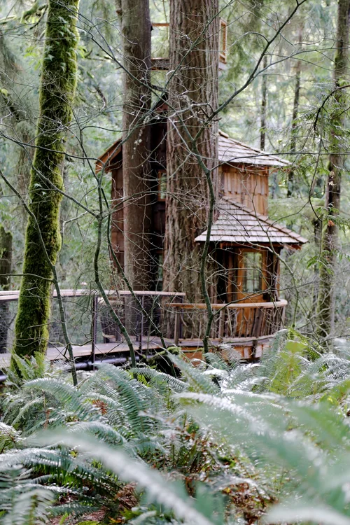 TreeHouse Point — Finding the Extraordinary in the Ordinary