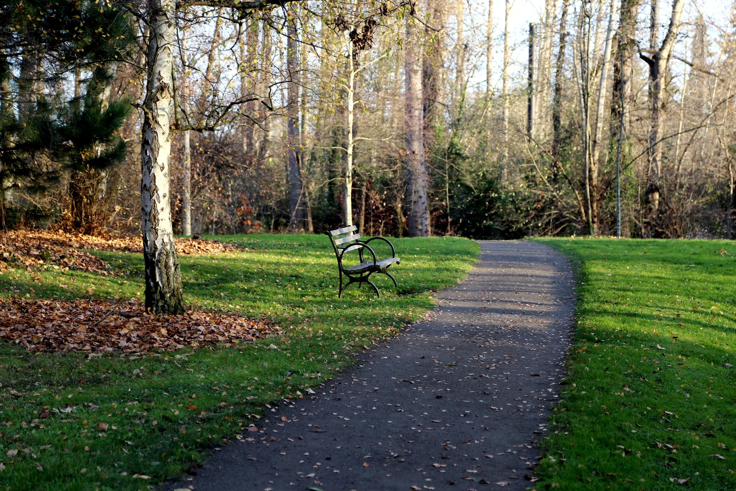 merrily, merrily, merrily…...life is but a dream — Finding the ...