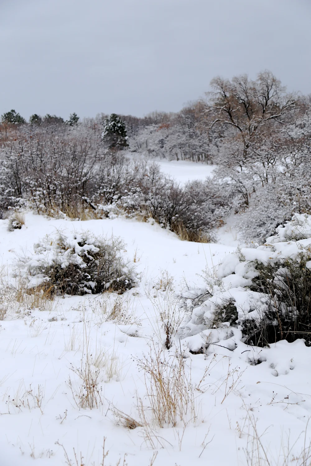 A winter day's walk — Finding the Extraordinary in the Ordinary
