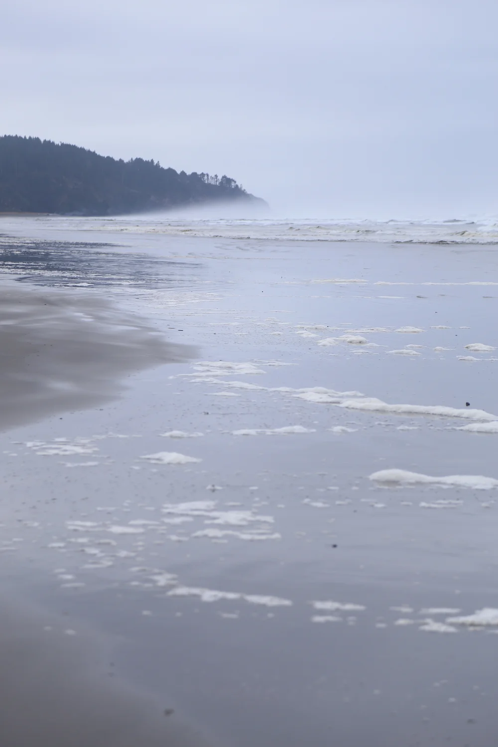 Long Beach, WA — Finding the Extraordinary in the Ordinary