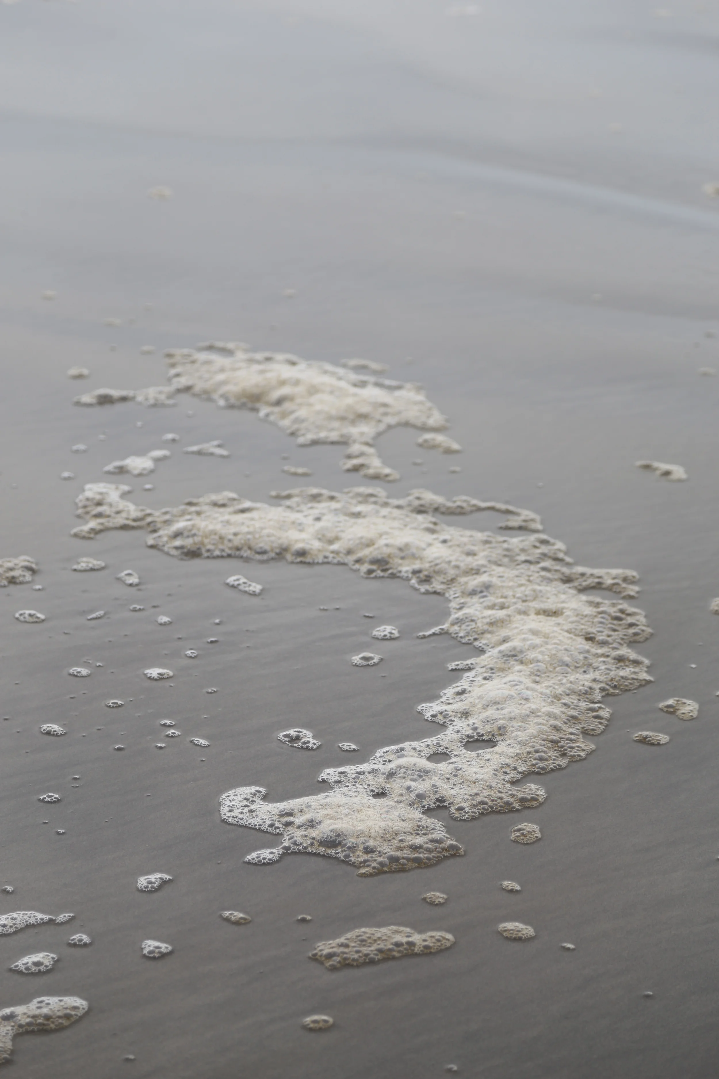 Long Beach, WA — Finding the Extraordinary in the Ordinary