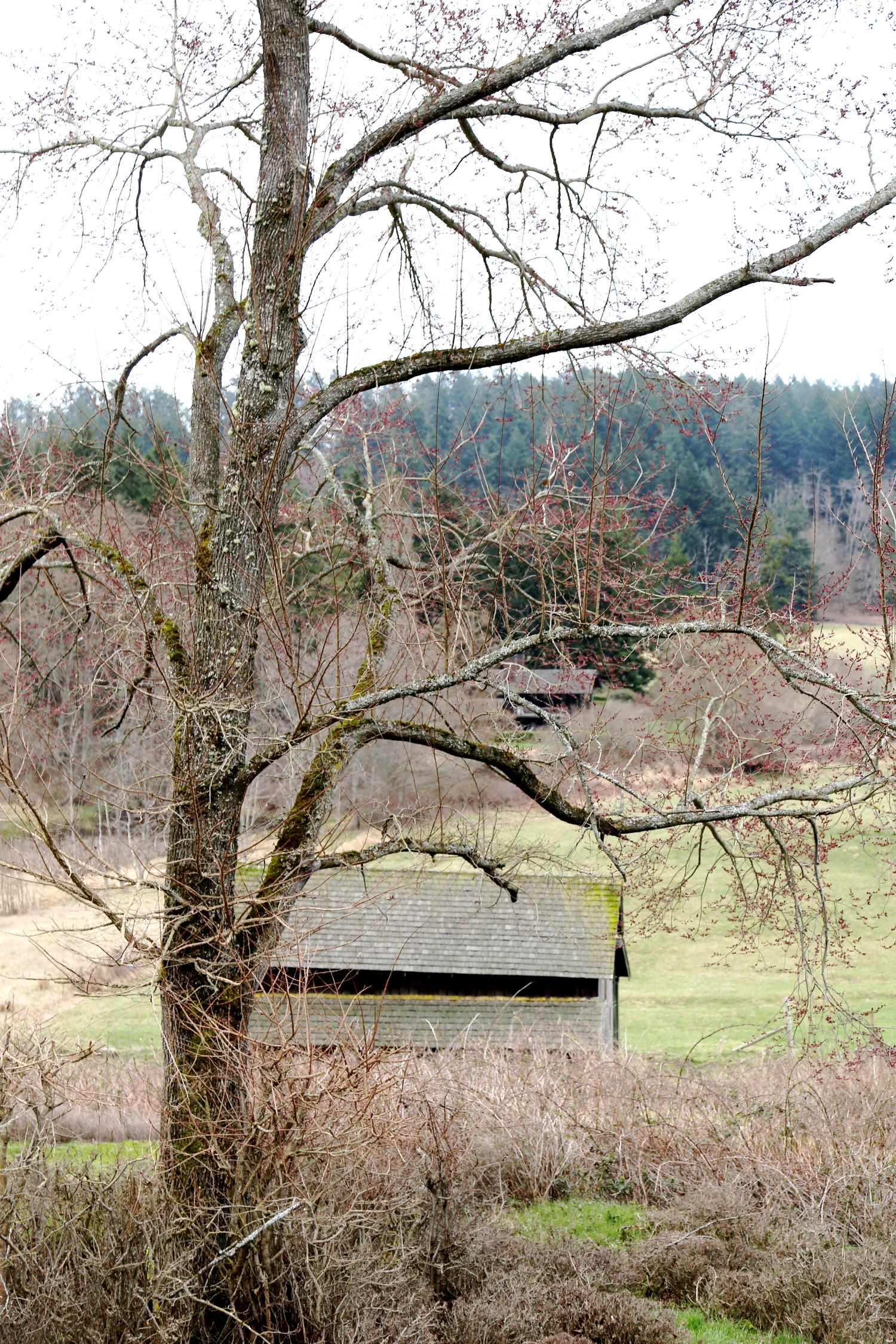 Turtleback Farm Inn — Finding the Extraordinary in the Ordinary
