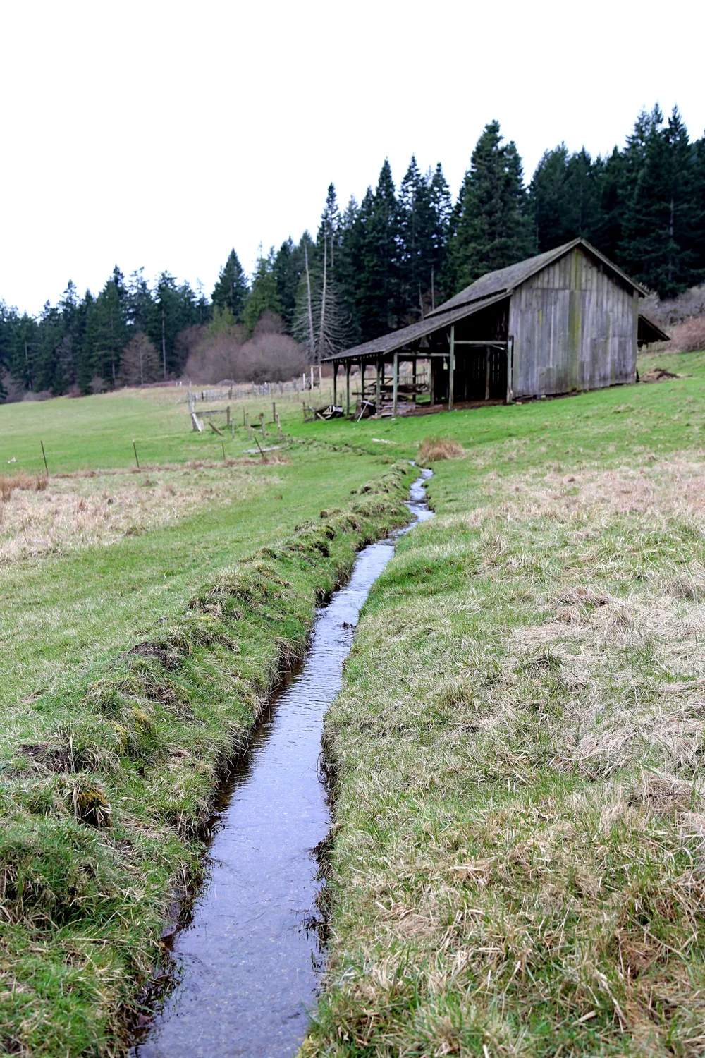 Turtleback Farm Inn — Finding the Extraordinary in the Ordinary