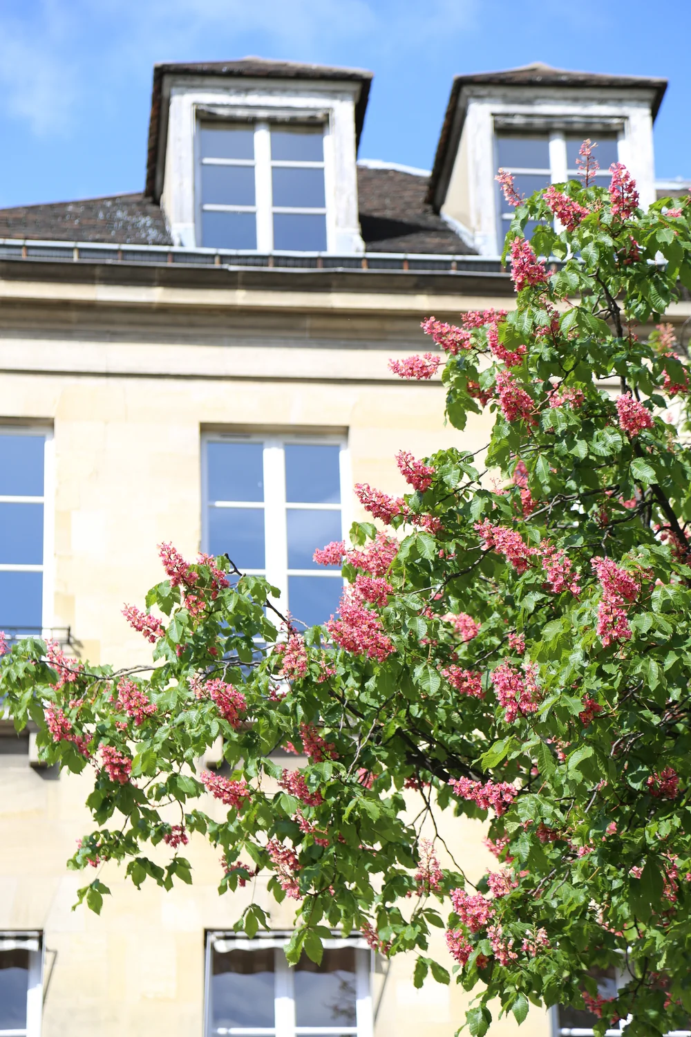 Paris in the Springtime — Finding the Extraordinary in the Ordinary