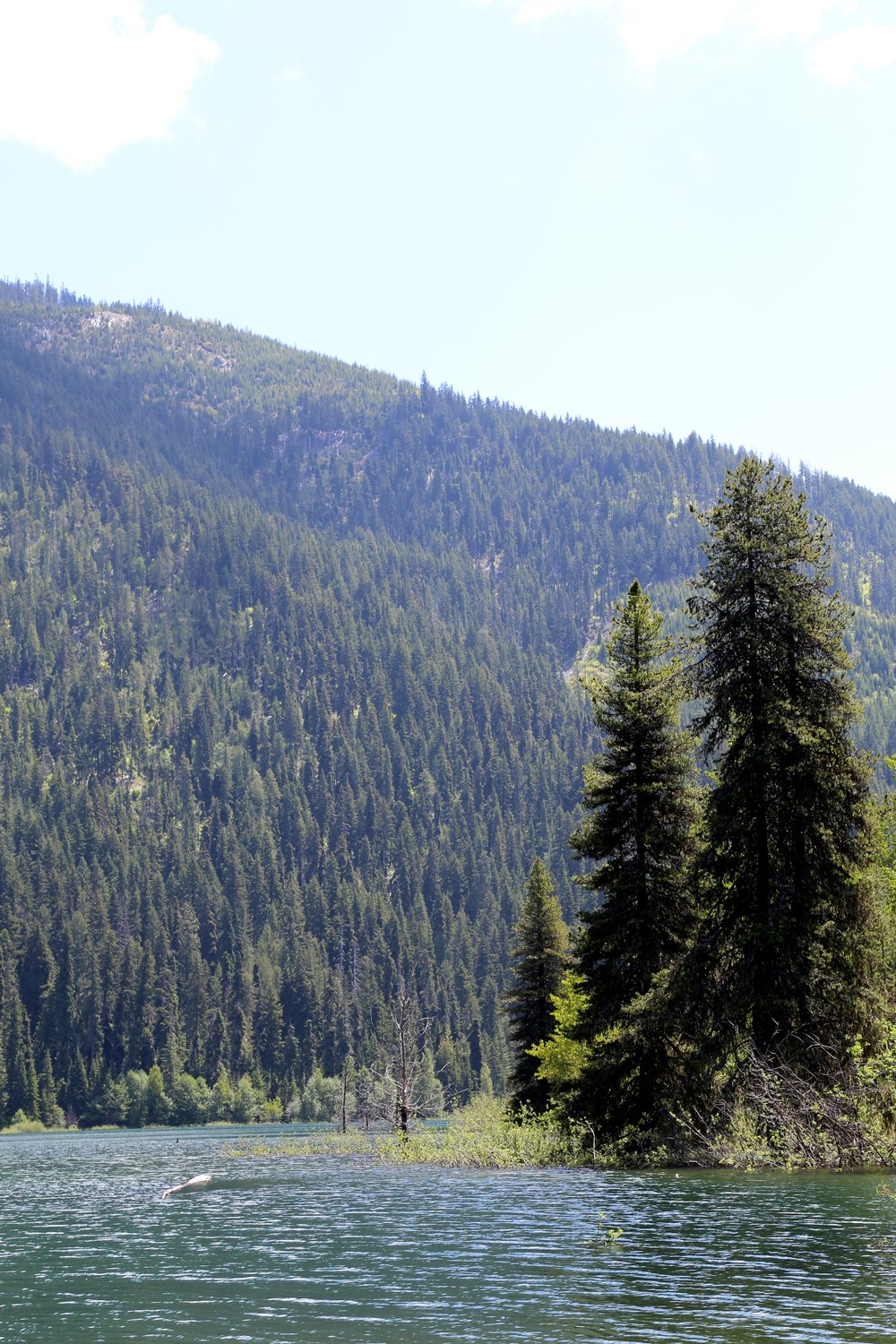 Lake Kachess State Park — Finding the Extraordinary in the Ordinary
