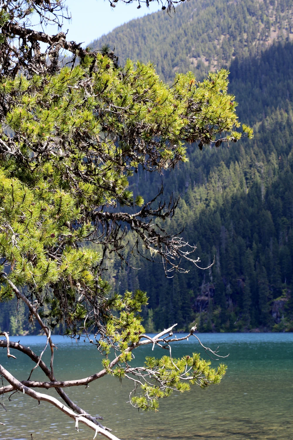 Lake Kachess State Park — Finding the Extraordinary in the Ordinary