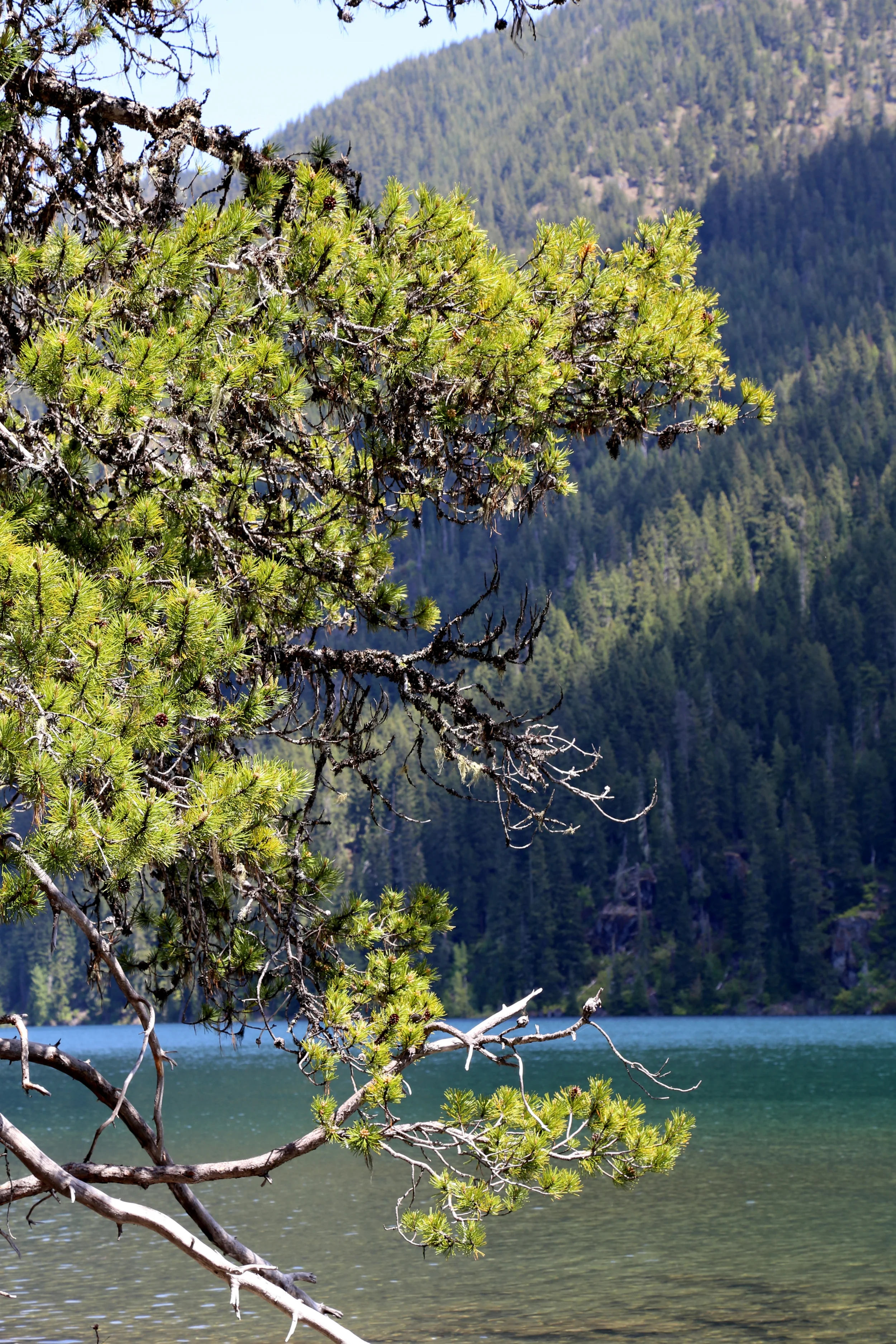 Lake Kachess State Park — Finding the Extraordinary in the Ordinary