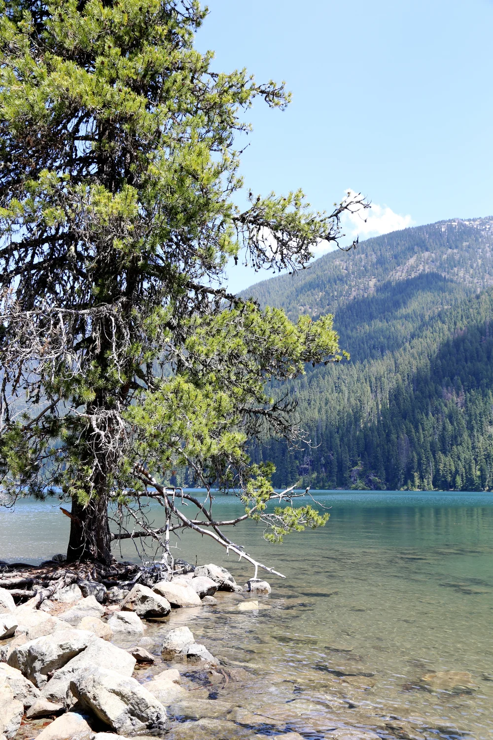 Lake Kachess State Park — Finding the Extraordinary in the Ordinary