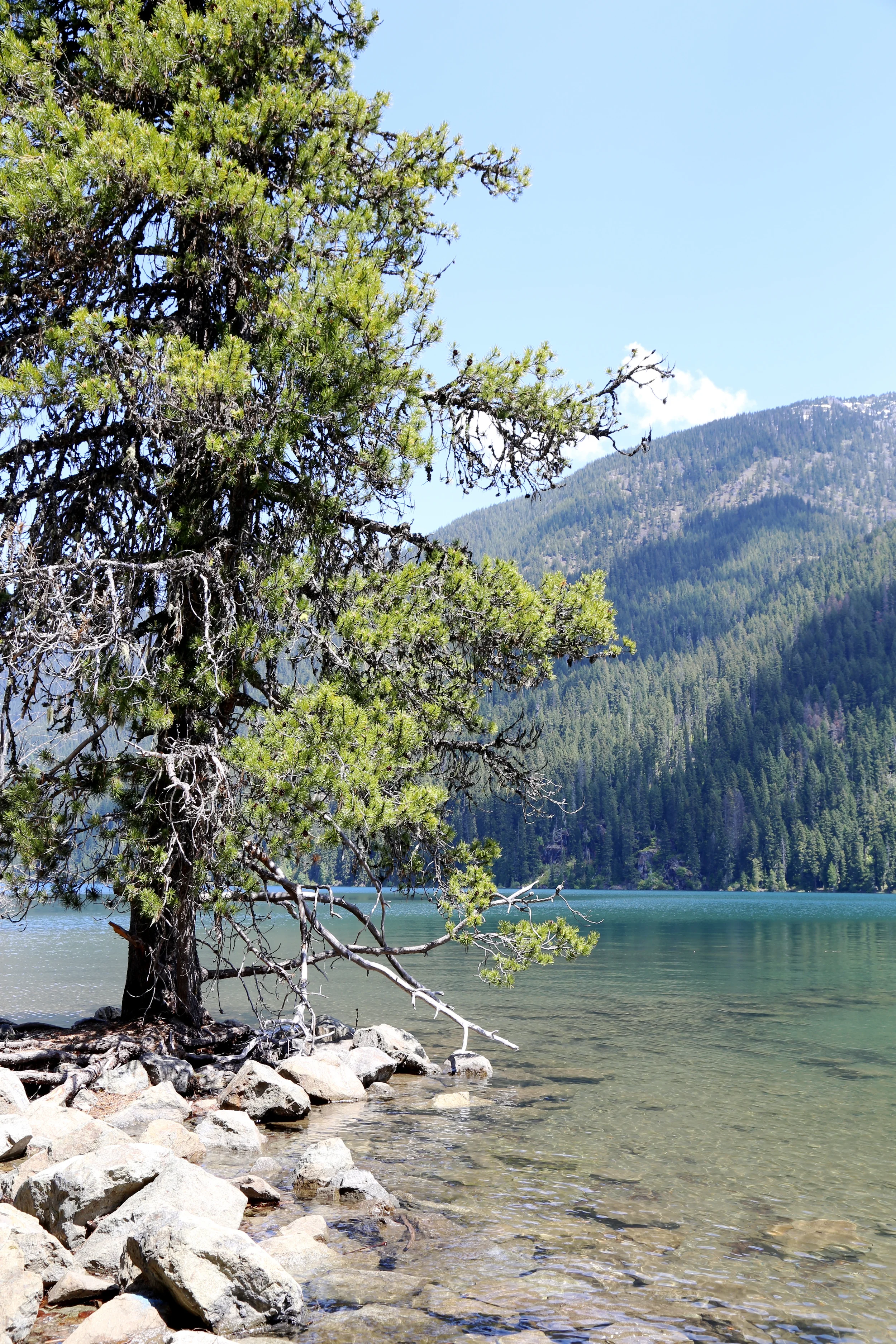 Lake Kachess State Park — Finding the Extraordinary in the Ordinary