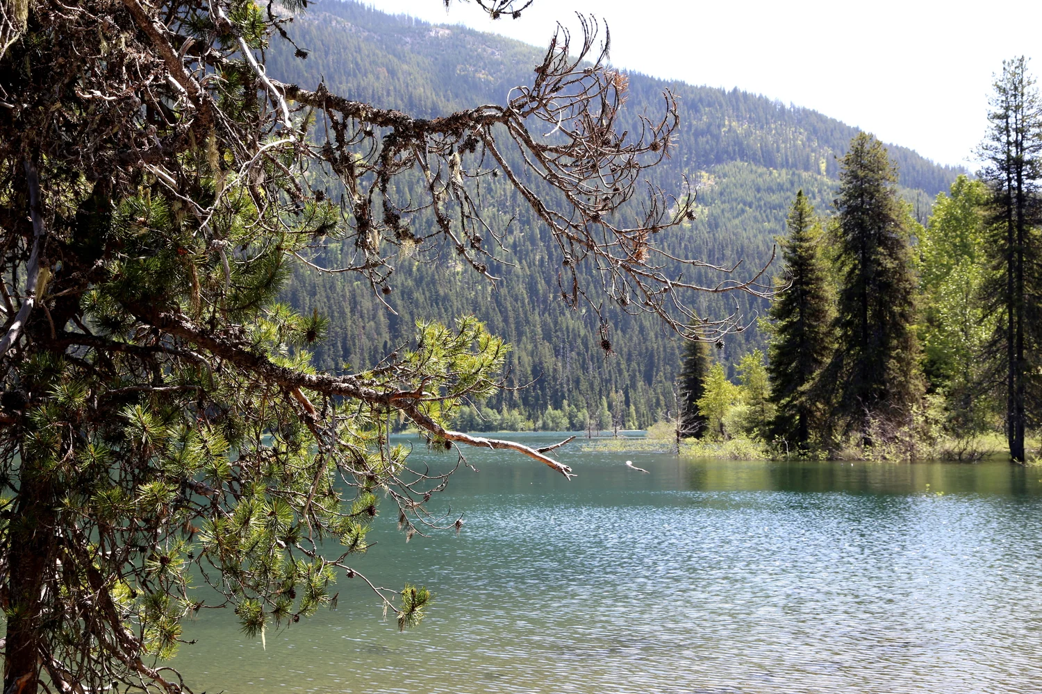 Lake Kachess State Park — Finding the Extraordinary in the Ordinary