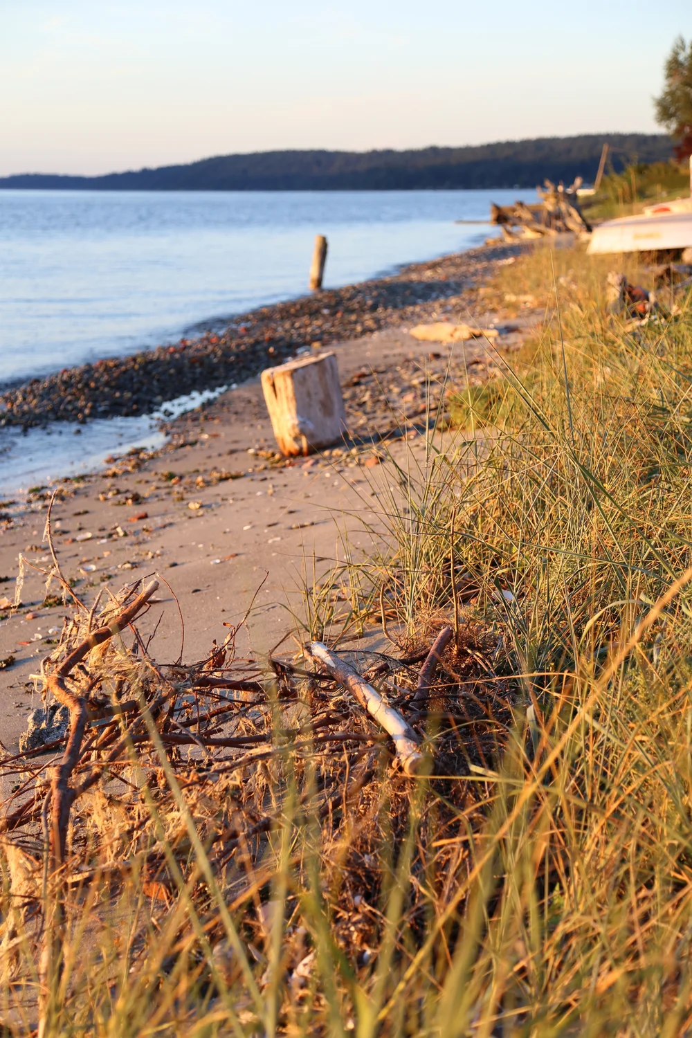 Sinclair Beach Cottage — Finding the Extraordinary in the Ordinary