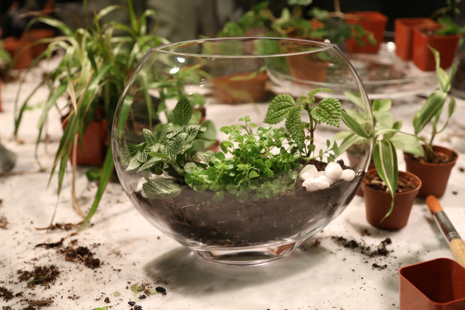 An evening at Glasswing with Seattle Bloggers Unite — Finding the ...