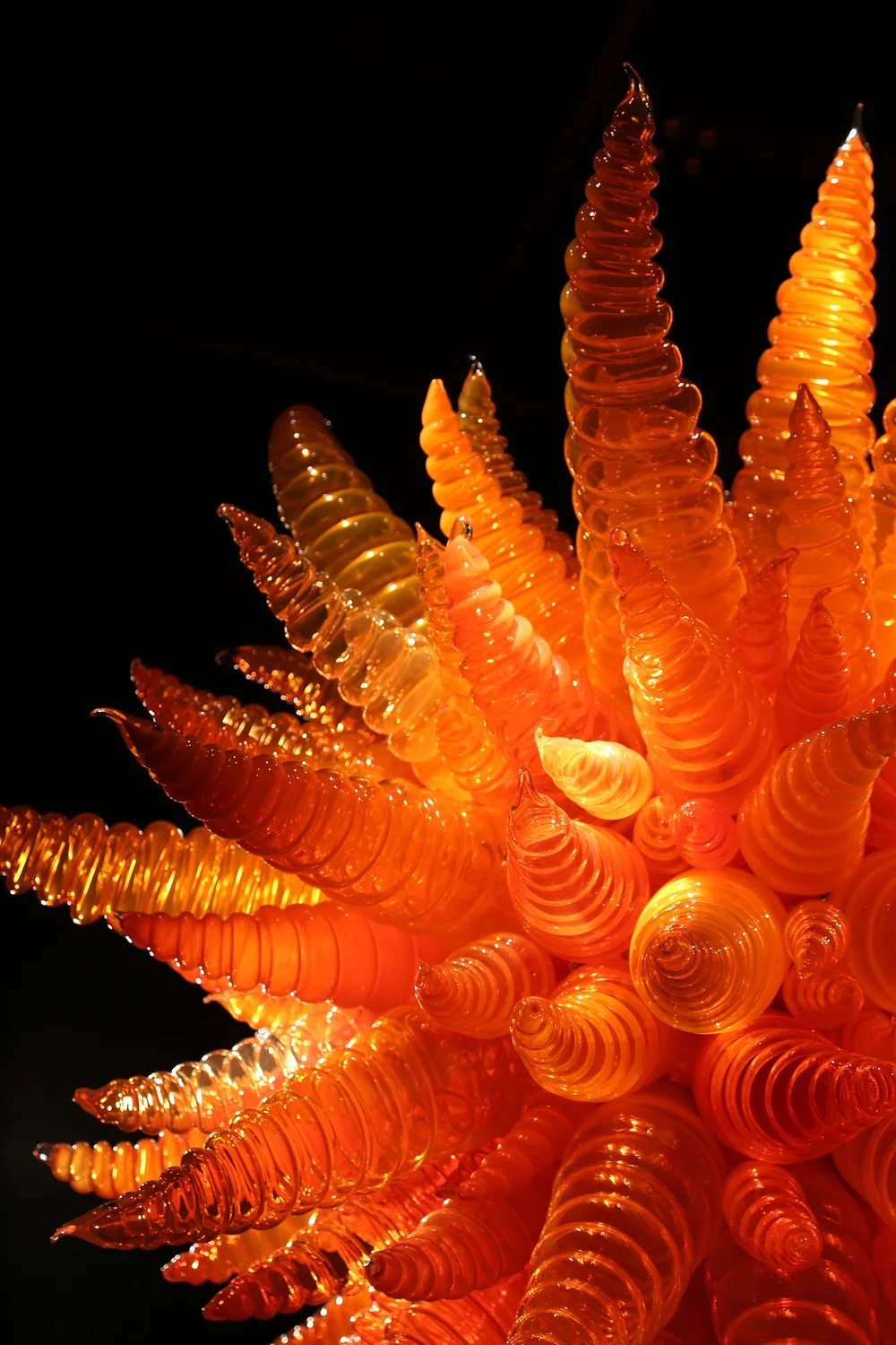 Chihuly Garden and Glass — Finding the Extraordinary in the Ordinary