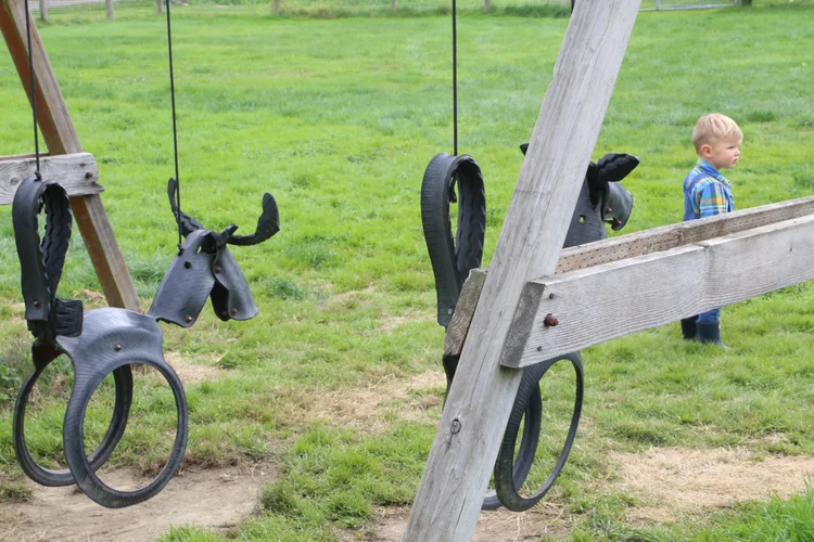 The Farm at Swan's Trail — Finding the Extraordinary in the Ordinary