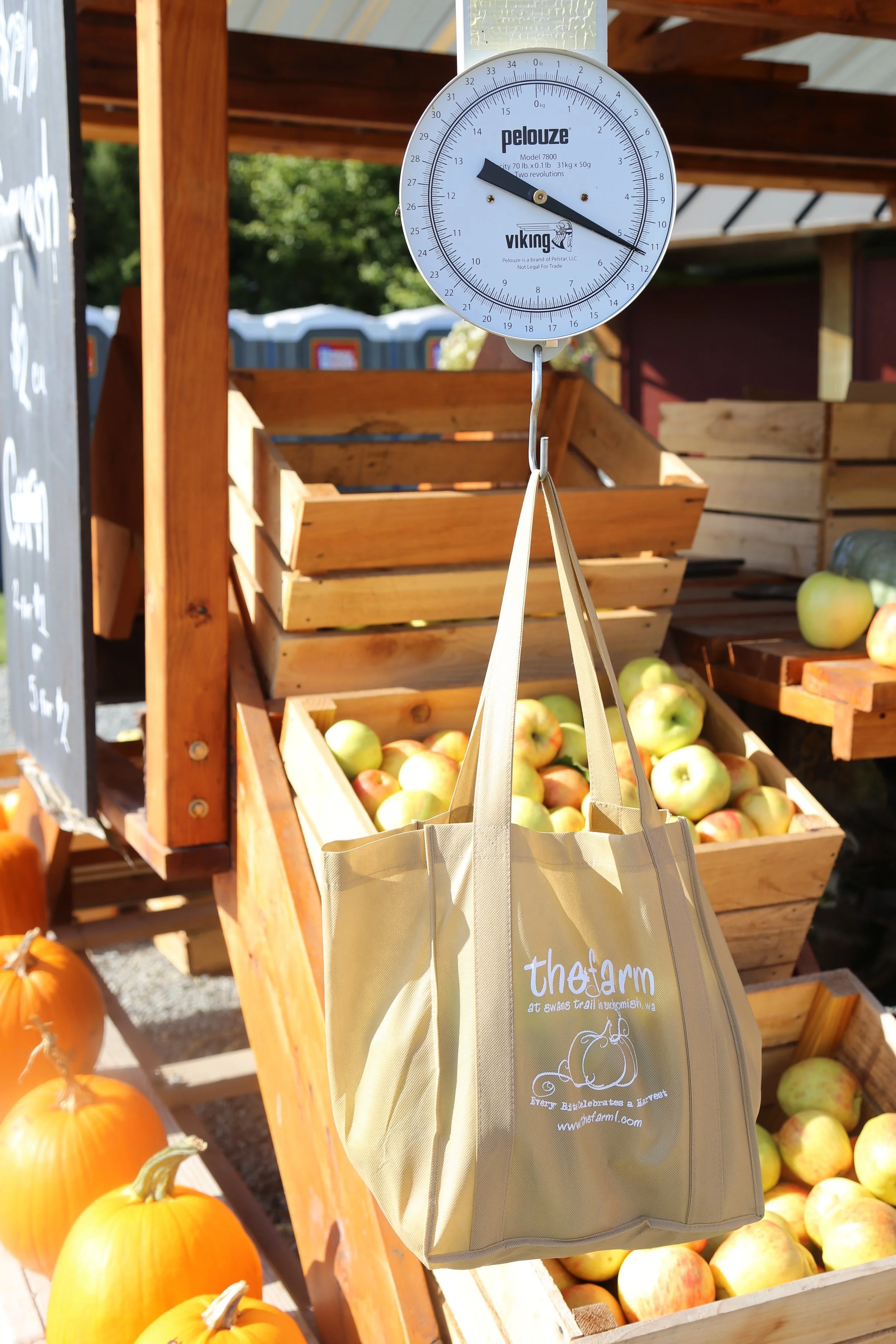 The Farm at Swan's Trail — Finding the Extraordinary in the Ordinary