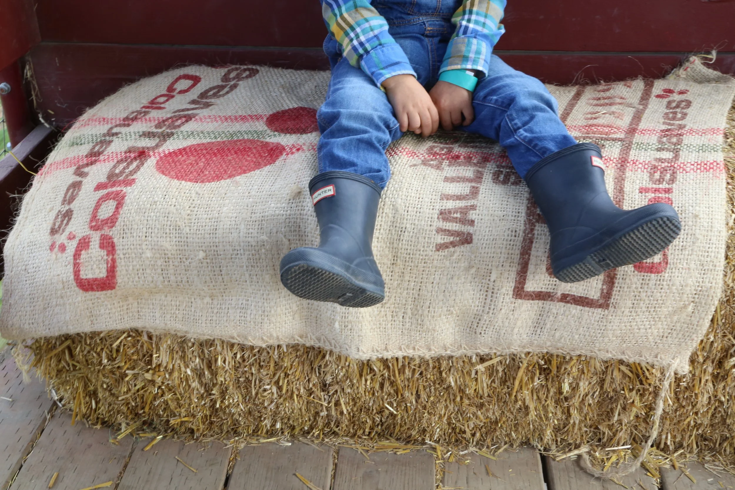 The Farm at Swan's Trail — Finding the Extraordinary in the Ordinary