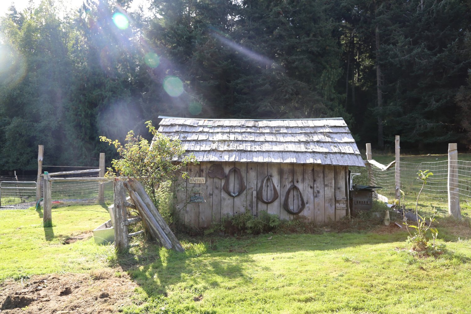 Savor the San Juans: Orcas Island Farm Tour — Finding the Extraordinary ...